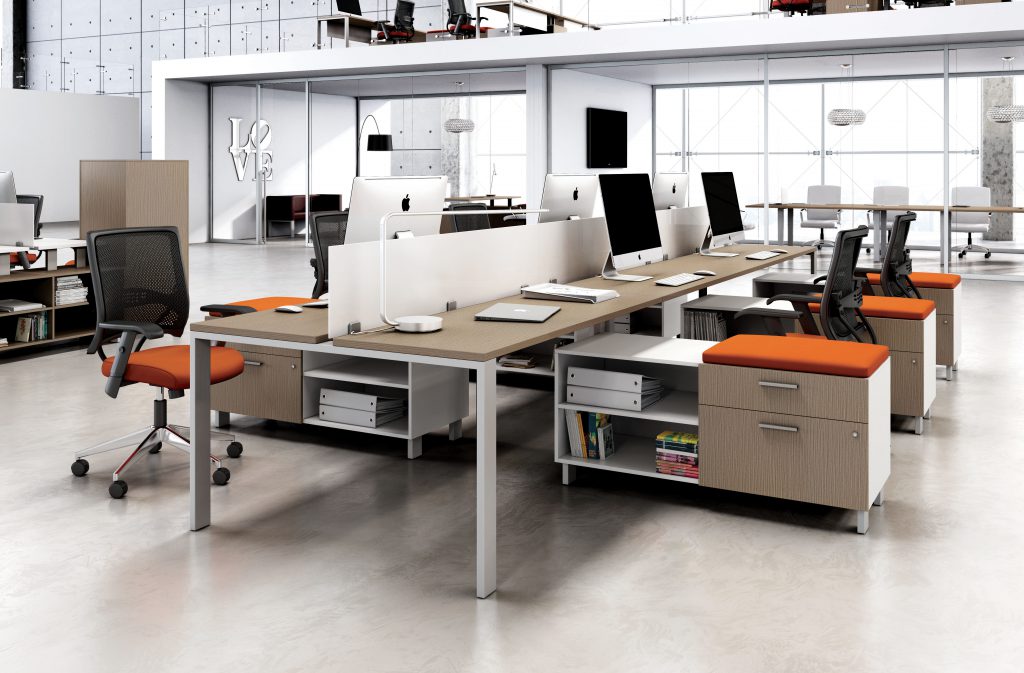 My Zone - OFGO STUDIO