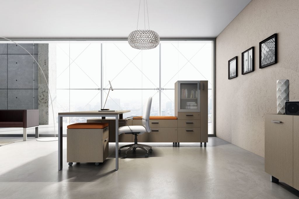 My Zone - OFGO STUDIO