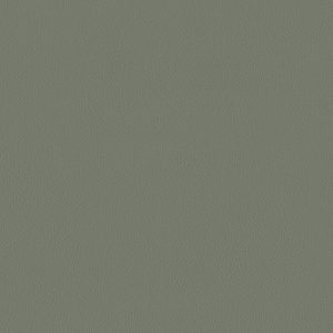 Carson CV (Grade 3) - OFGO STUDIO