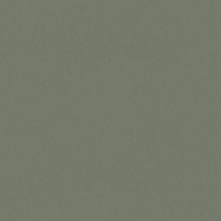 Carson CV (Grade 3) - OFGO STUDIO